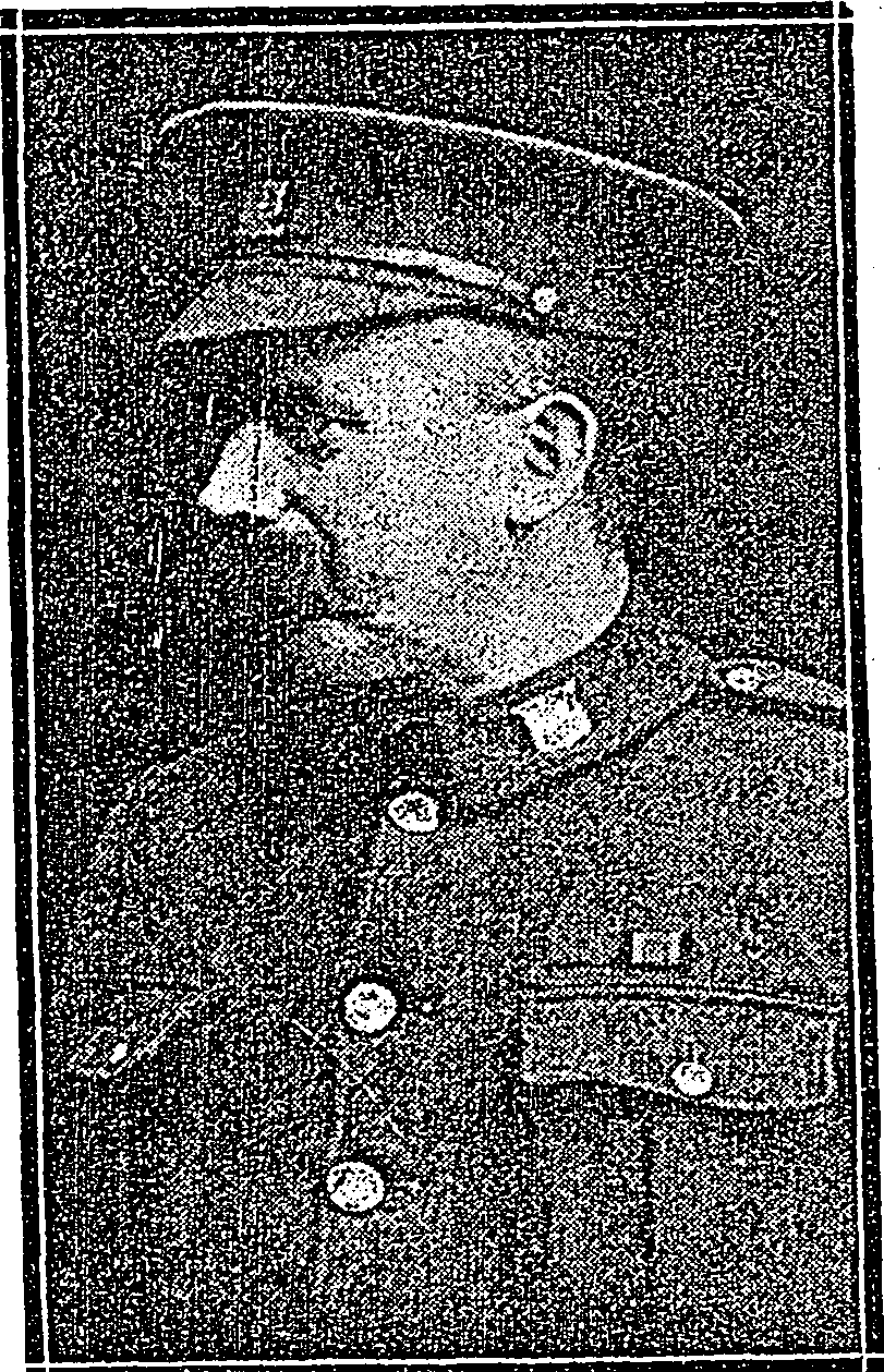 NZAOC July 1919 to June 1920 | "To the Warriors Their Arms"