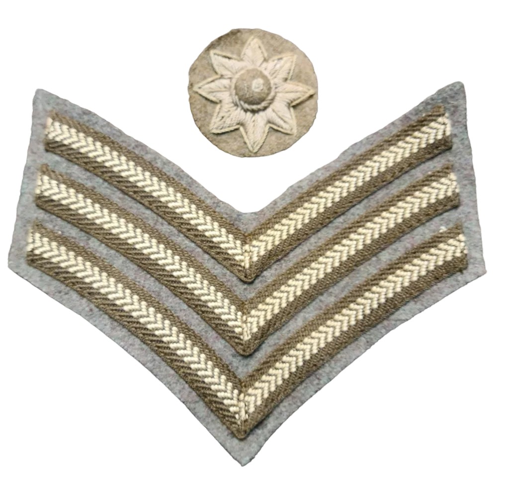 CQMS-95-15-Photoroom | "To the Warriors Their Arms"